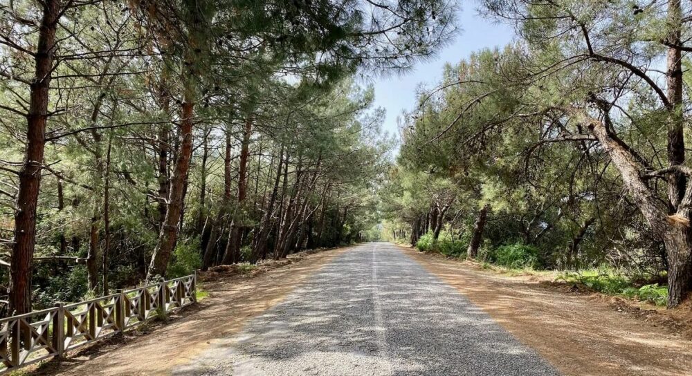 Dilek Yarımadası Milli Parkı - Ulaşım,Gezi ve Tatil Rehberi ... Dilek Yarımadası Milli Parkı - Ulaşım,Gezi ve Tatil Rehberi ...